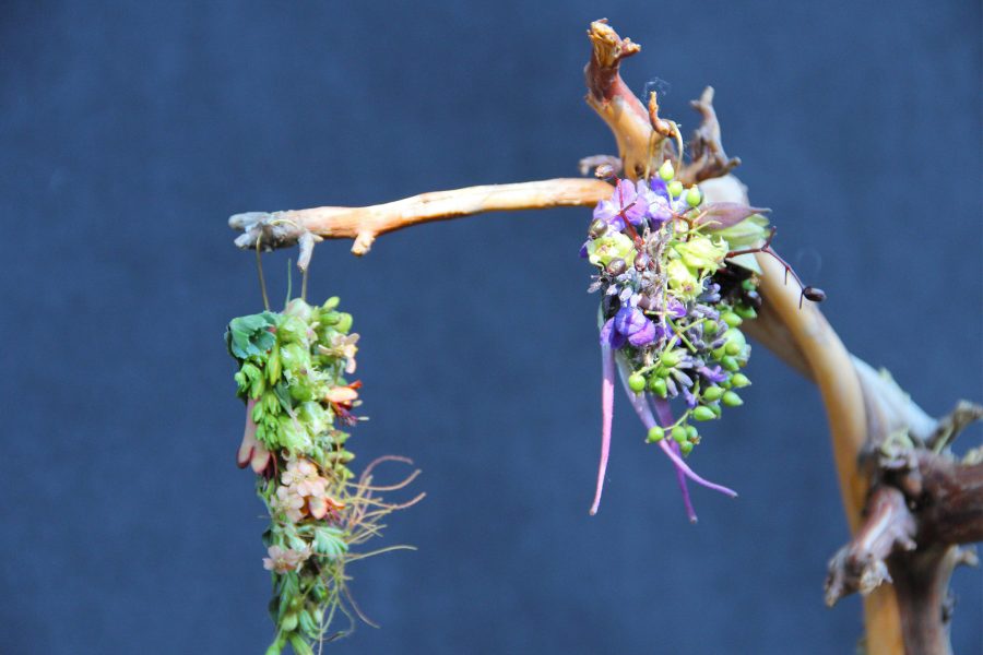 Botanical Couture: Francoise Weeks Wearable Floral Art – Flou(-e)r ...